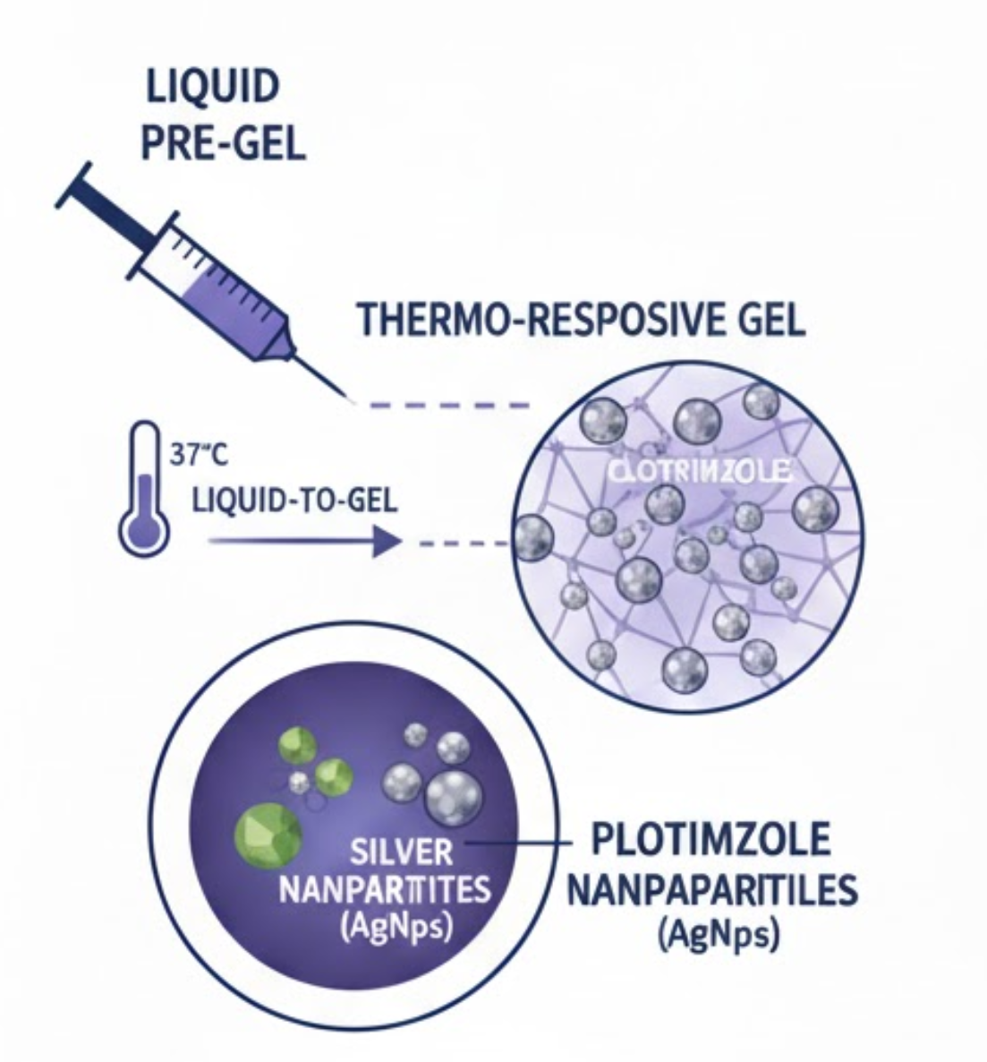 Ag-PEG-PCL Gel - Invitrovo