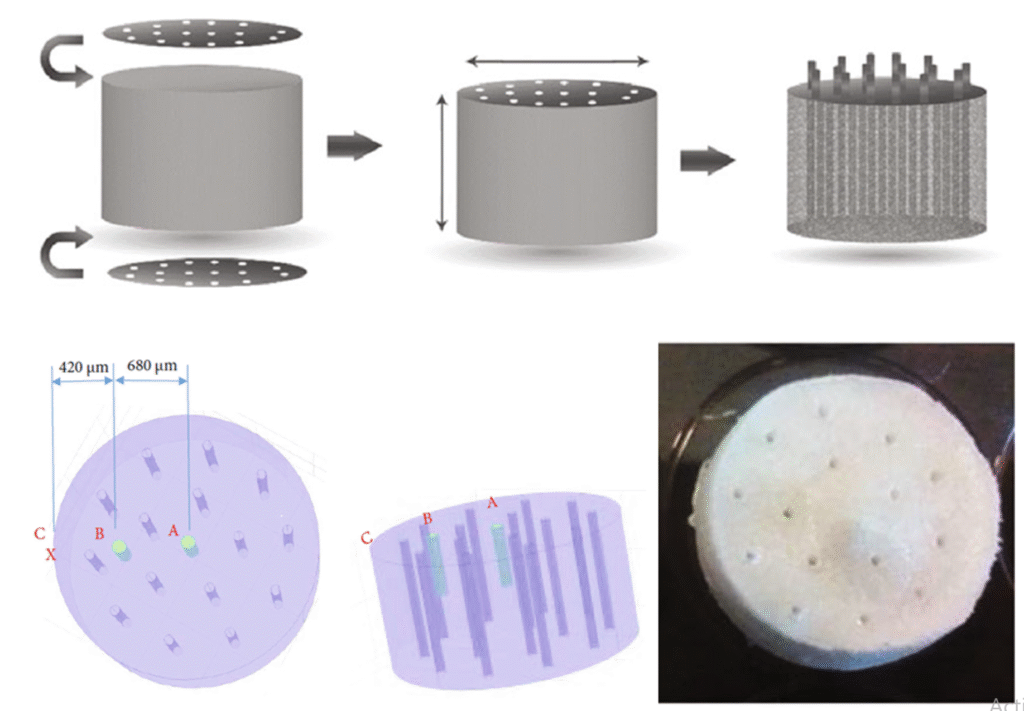 in silico Modeling, Simulation & Predictive Analysis Services - Invitrovo